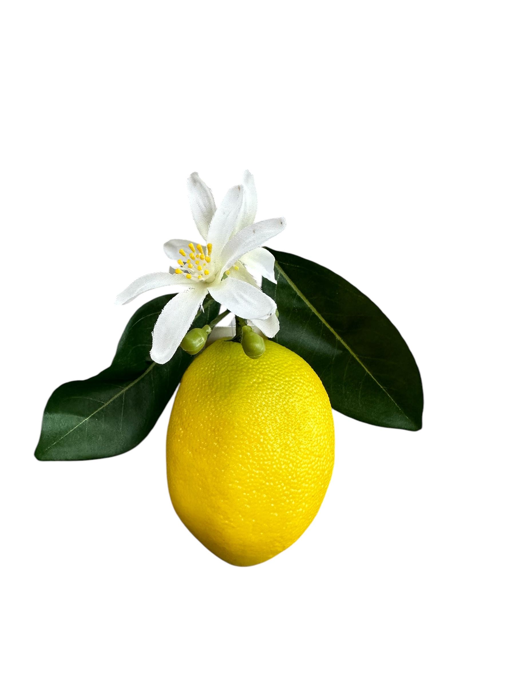 Limão c/ folha e flor – Evenor